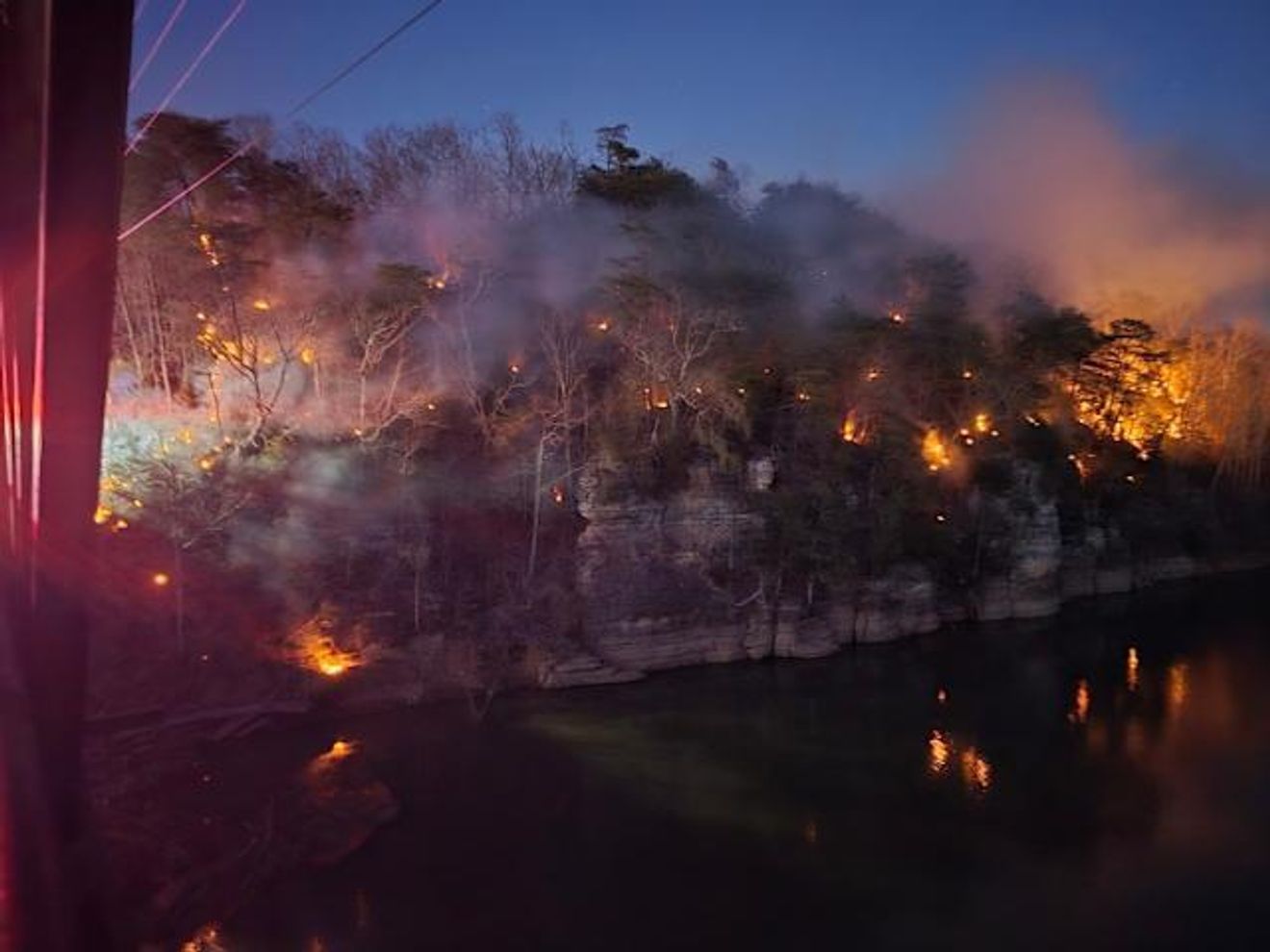 Ancient Redwoods Stage Remarkable Comeback After Devastating California ...