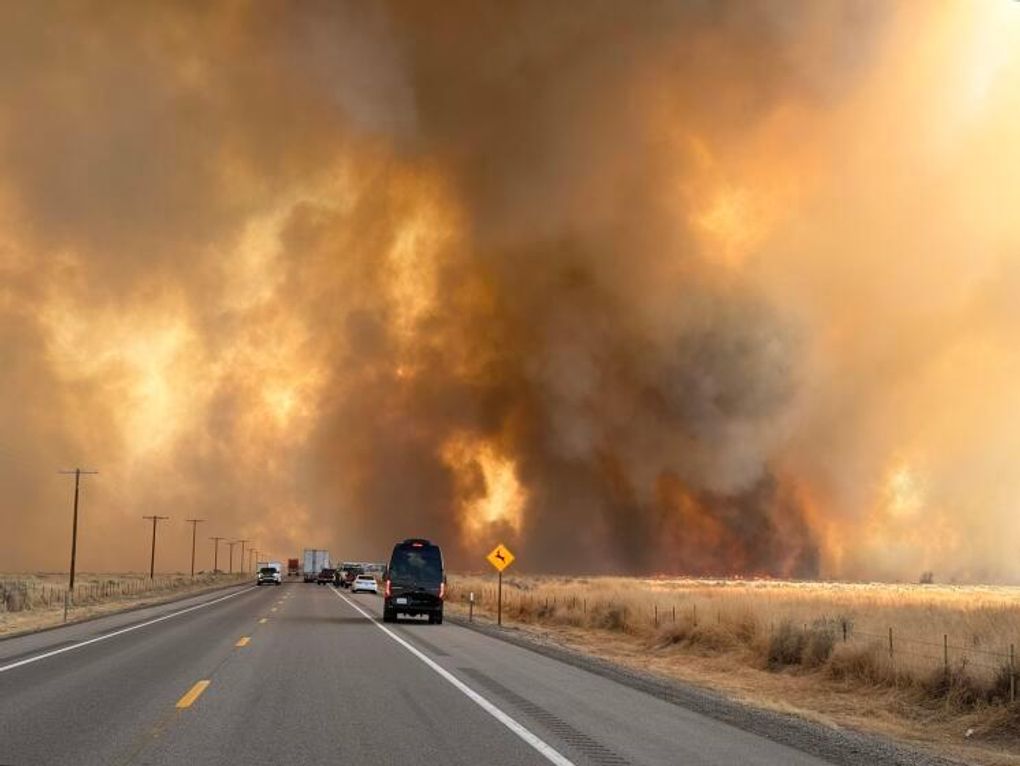 Essential Emergency Evacuation Guide: What to Pack When Wildfires Strike
